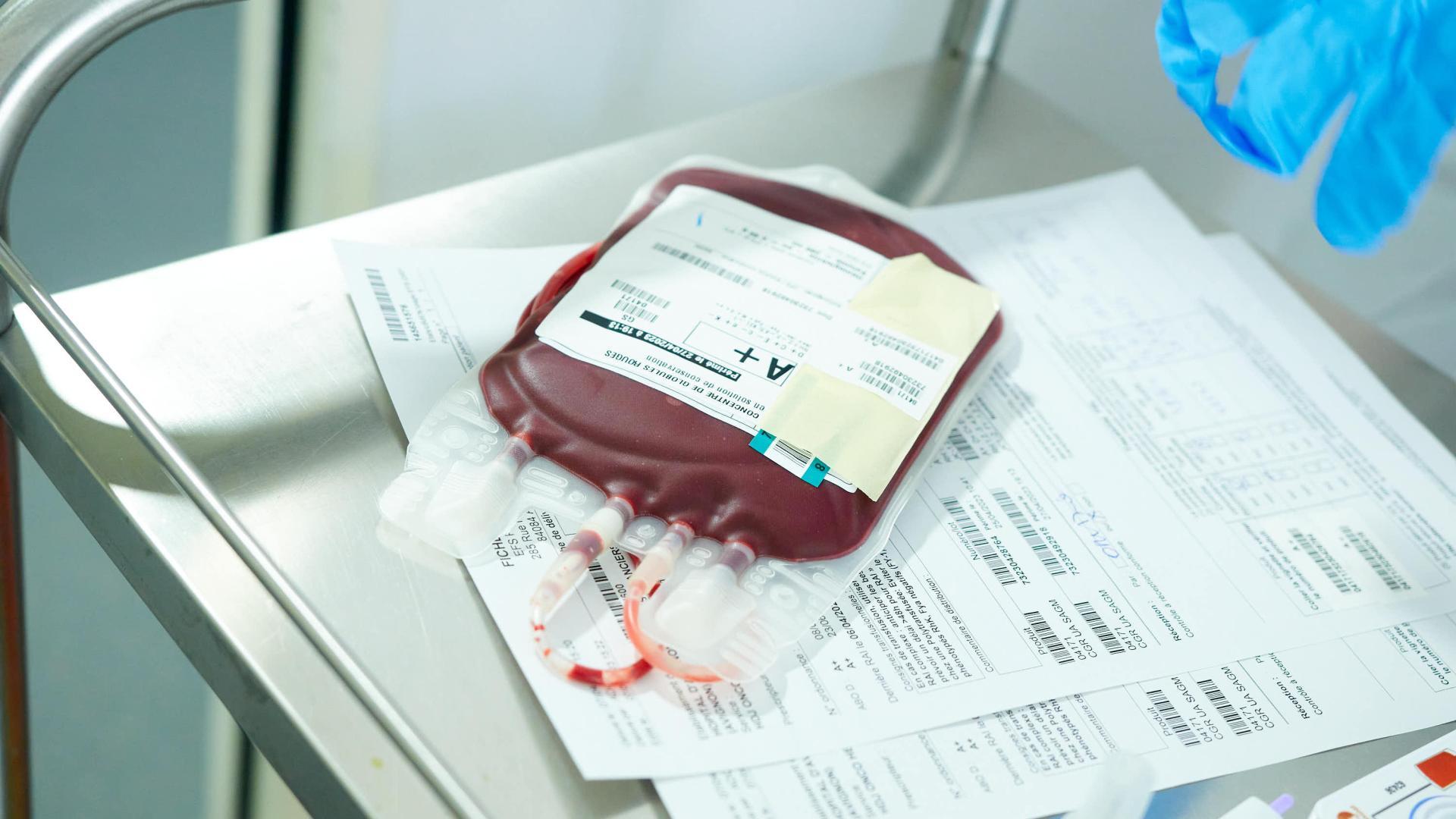 Hématologie clinique, greffe de moelle osseuse et thérapie cellulaire ...